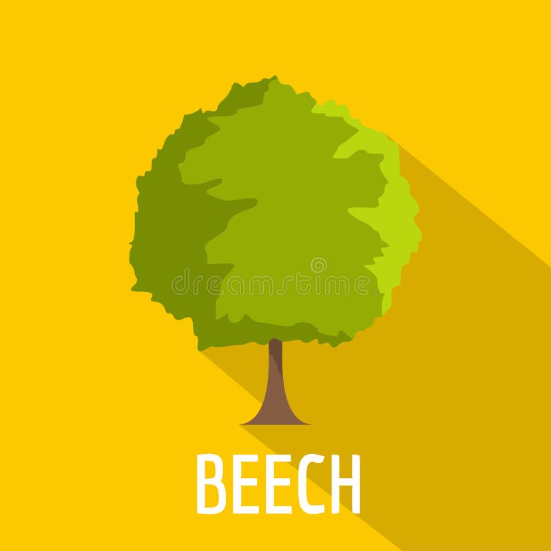 Beech Tree Cartoon Stock Illustrations – 611 Beech Tree Cartoon Stock ...
