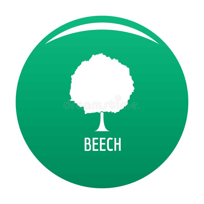 Beech Tree Icon Vector Green Stock Vector - Illustration of icon ...