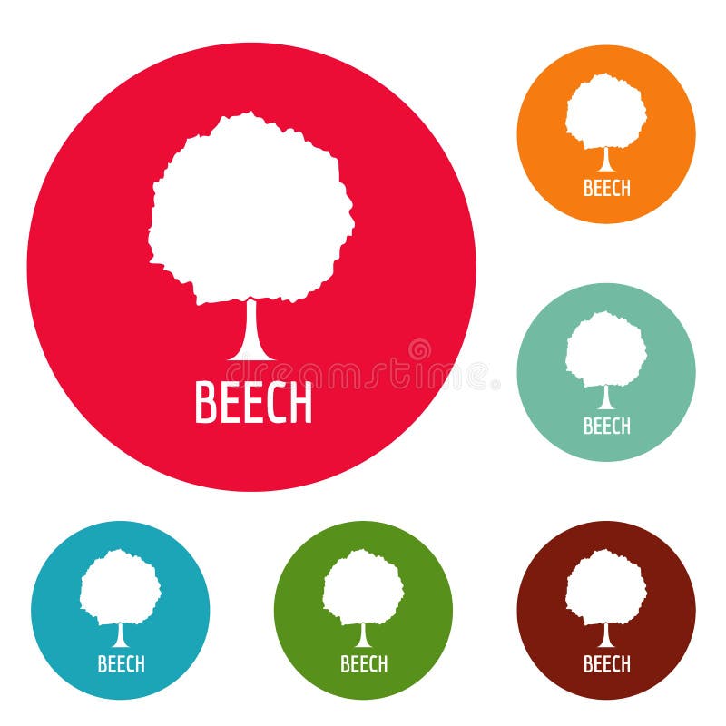 Beech Tree Icons Circle Set Vector Stock Vector - Illustration of plant ...