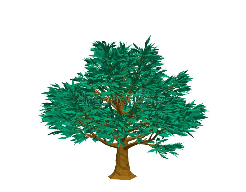 Beech Tree. Isolated On White Background. 3d Vector Illustration Stock ...