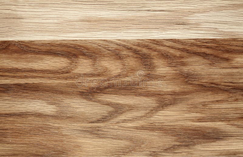 Beech Tree Texture Wallpaper. Stock Image - Image of rings, background ...