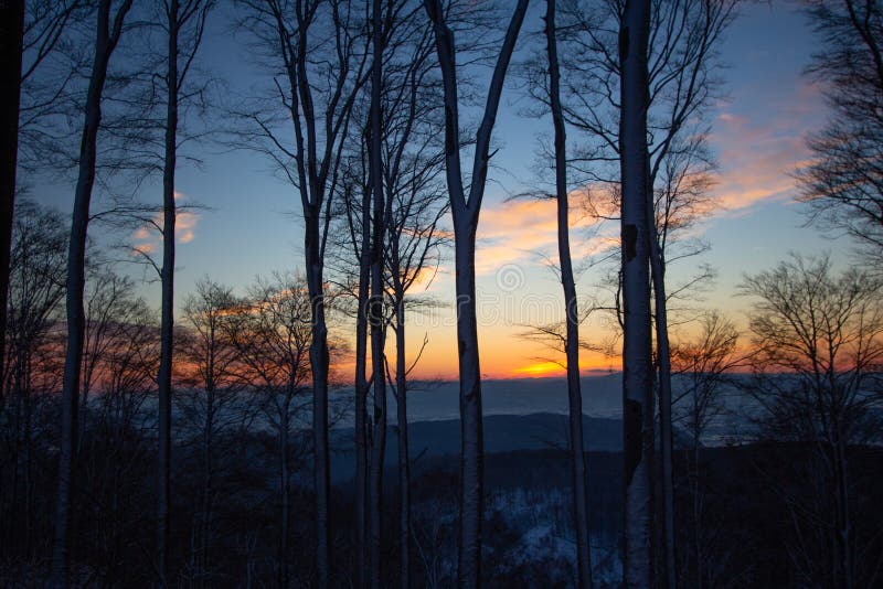 The woods at nightfall stock image. Image of hills, mountain - 217618979