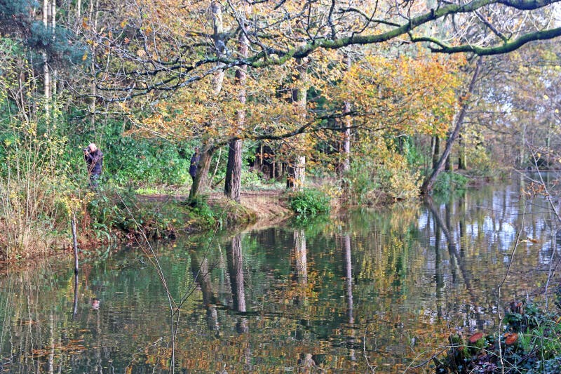 Beech Trees Reflected in a River in Autumn Stock Image - Image of tree ...