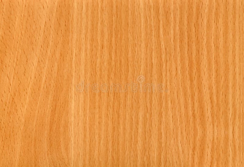 Beech Wood Background stock photo. Image of plank, fine - 5194100
