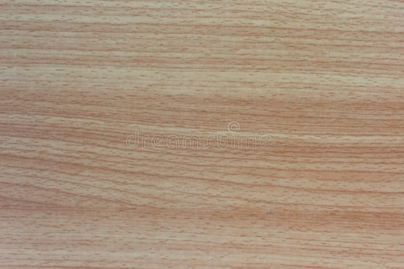 Beech Wood Laminate Texture Stock Photo - Image of hardwood, pattern ...