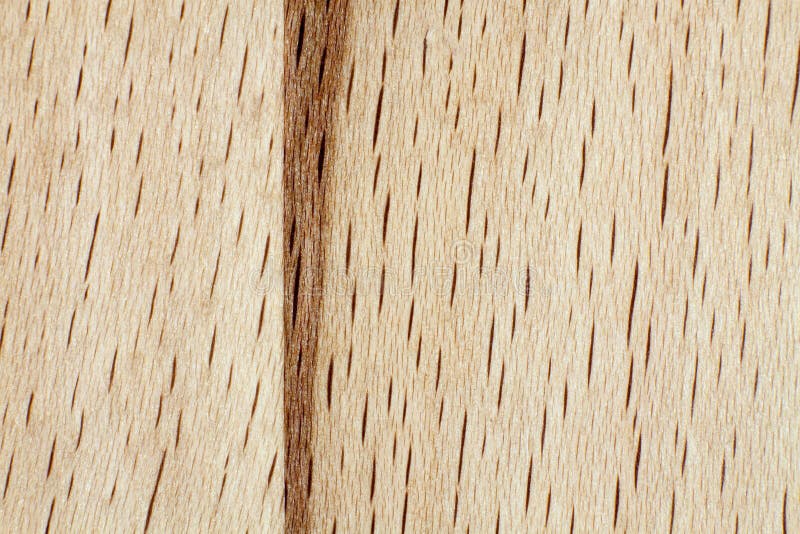 13,245 Beech Wood Grain Stock Photos - Free & Royalty-Free Stock Photos ...