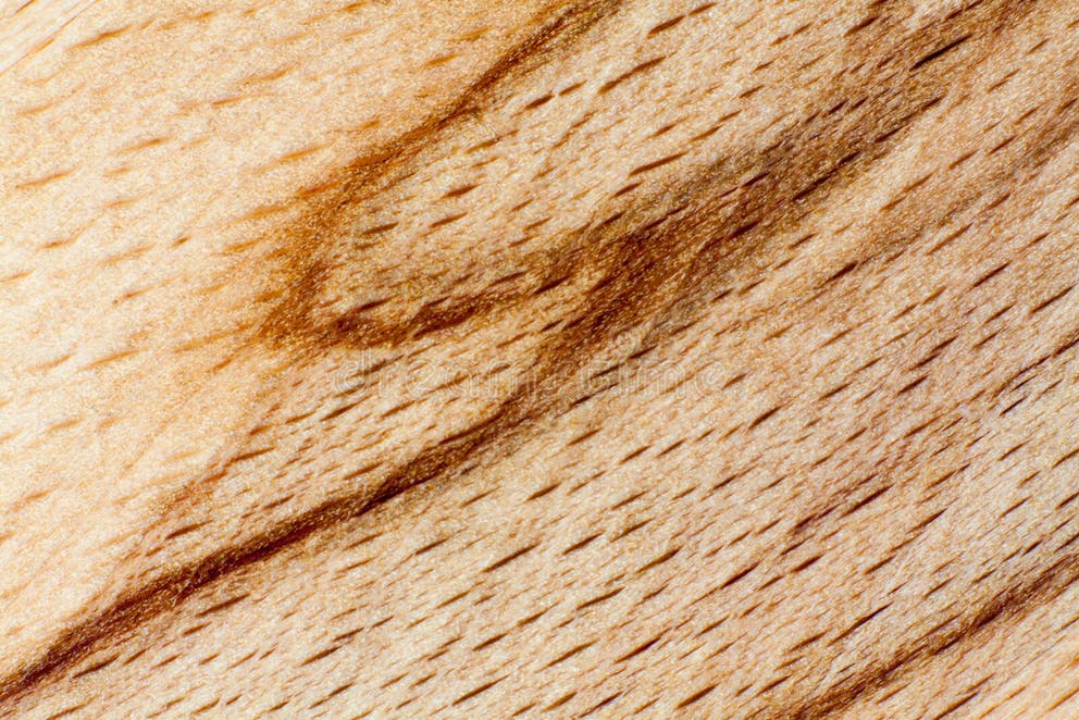 Beech wood pattern stock photo. Image of beech, table - 44727678