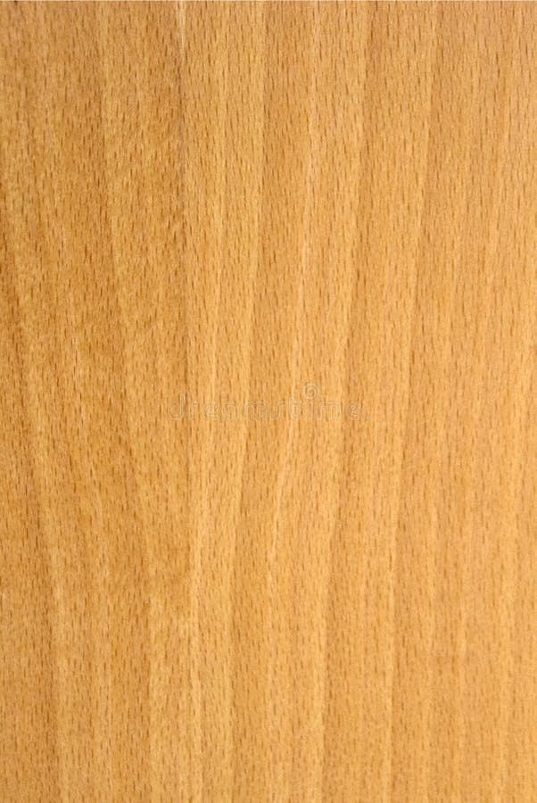 Wood texture stock image. Image of natural, design, beech - 539829