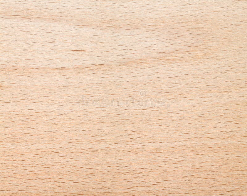 Beech wood spring stock photo. Image of nature, peace - 11546230