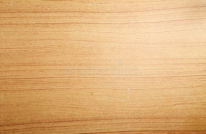 Beech wood texture stock image. Image of background, panel - 82863853