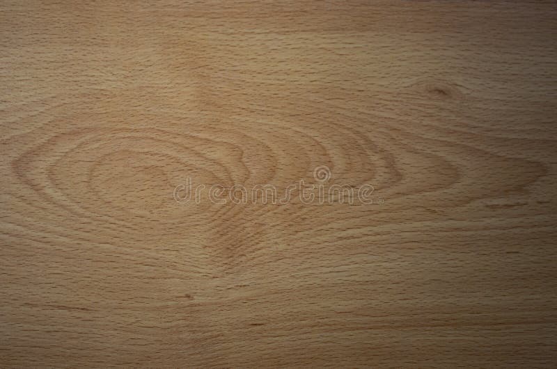 Beech wooden texture stock photo. Image of rough, board - 184245068
