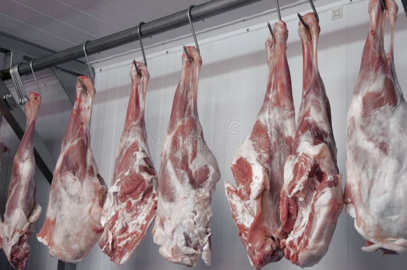 Beef stock image. Image of food, locker, hanging, domestic - 14946519