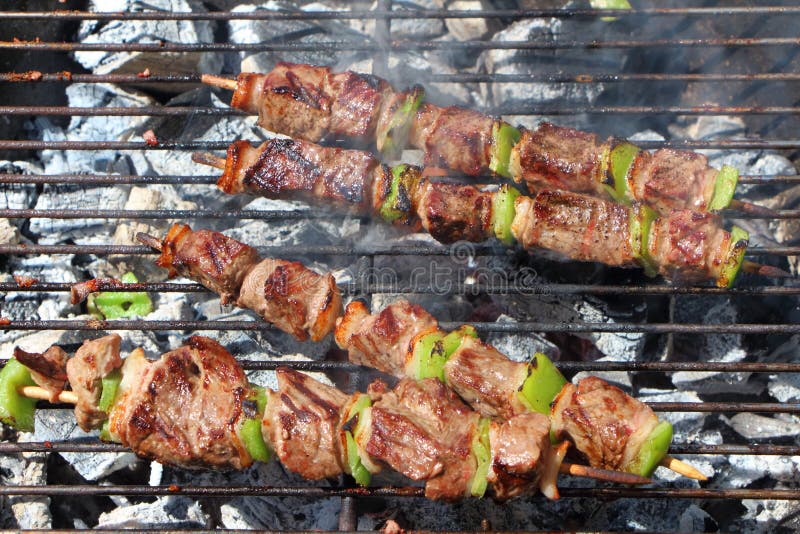 Beef brochette on barbecue stock image. Image of fire - 100681307