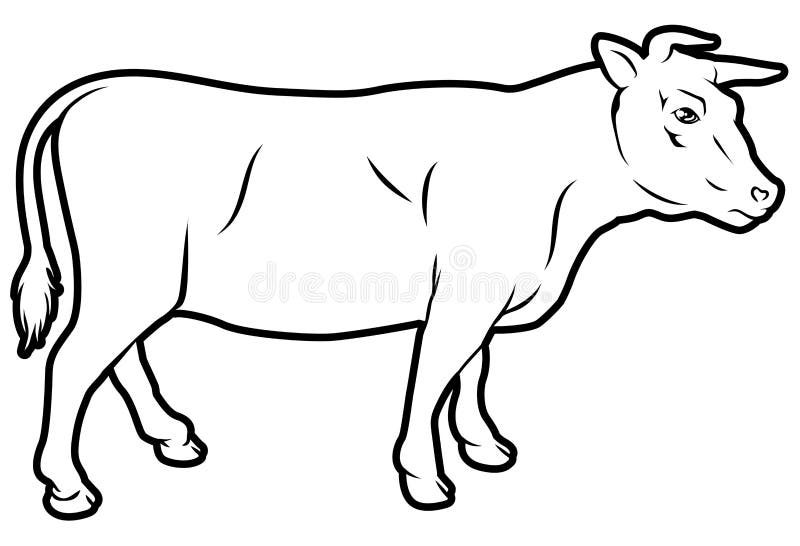 Beef cow illustration stock vector. Illustration of animal - 40014635