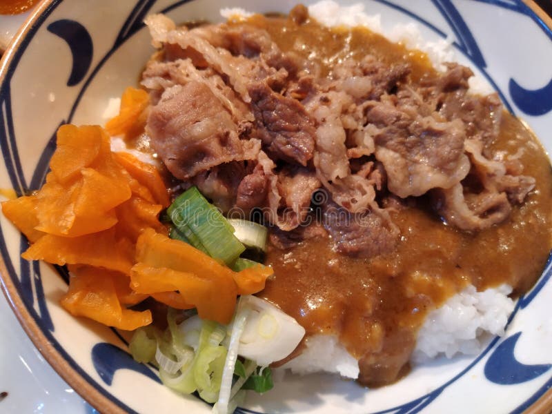Beef Curry Rice Bowl Ala Japanese Stock Photo - Image of rice, japanese ...