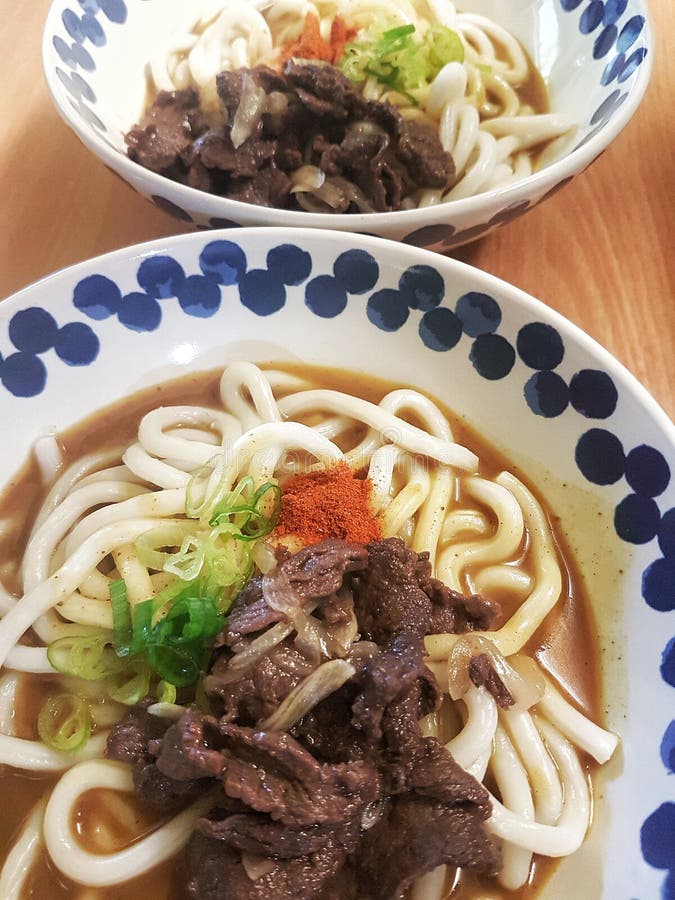 Beef Curry Udon Noodles stock photo. Image of food, noodle - 221523812