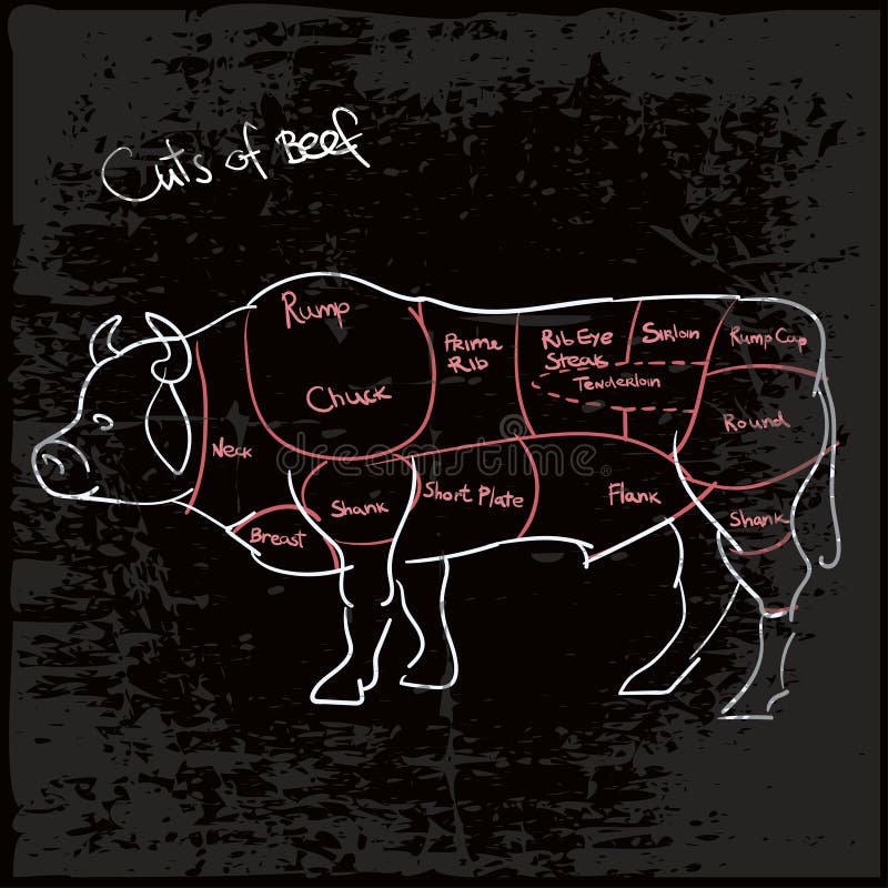 Pork and beef cuts stock vector. Illustration of meat - 42073219