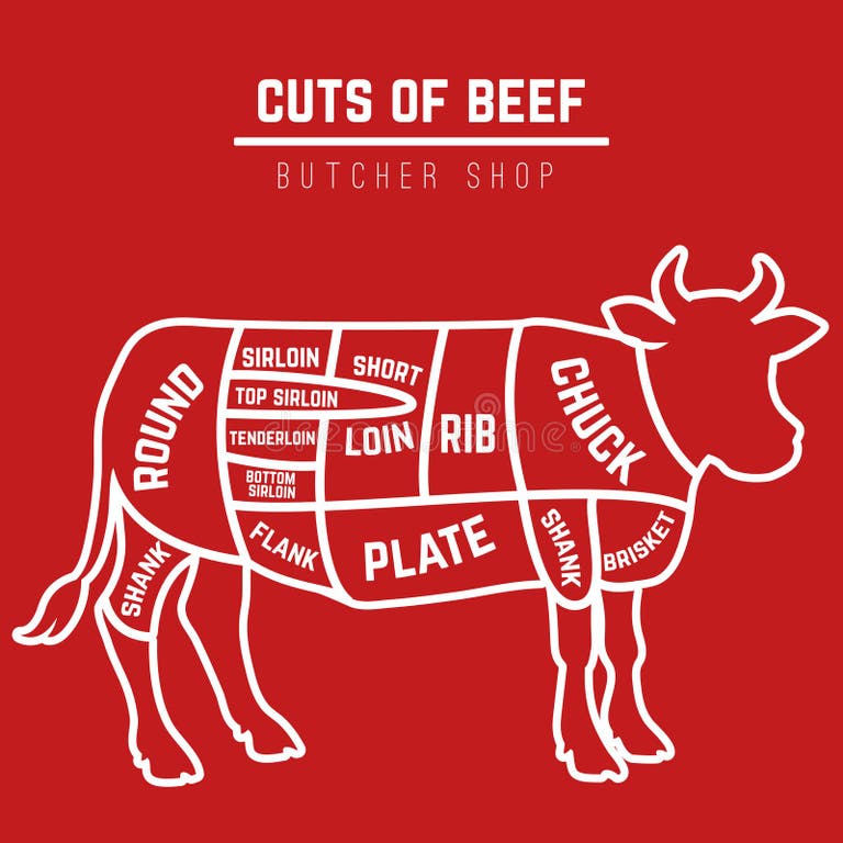 Beef cuts diagram stock illustration. Illustration of bull - 55155975