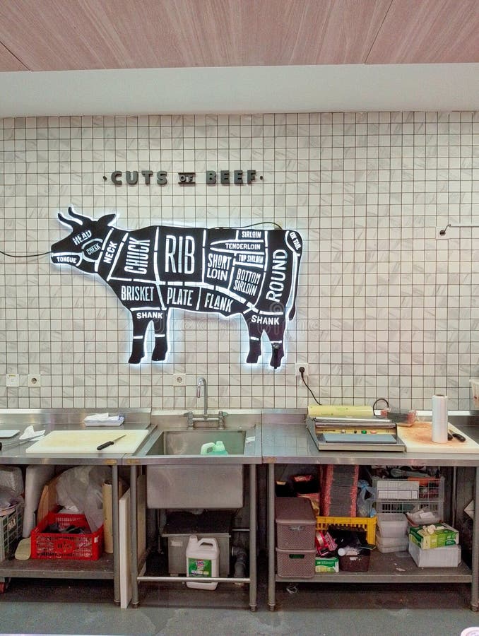 Beef Cuts Diagram - Commercial Kitchen Decor Editorial Image - Image of ...