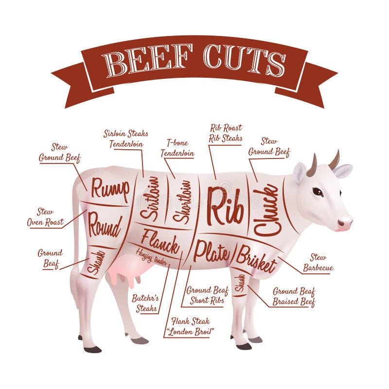 Cow Parts Stock Illustrations – 412 Cow Parts Stock Illustrations ...