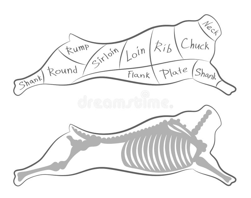 Beef cutting scheme stock vector. Illustration of isolated - 187094421