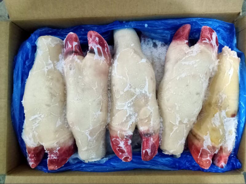 Beef feet cow stock photo. Image of food, feet, soup - 228879328