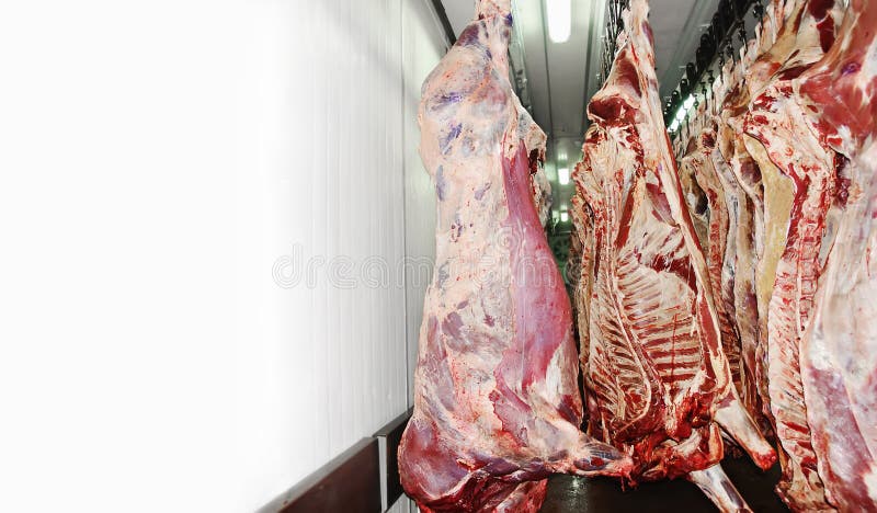 Slaughterhouse stock image. Image of side, butcher, lean - 29557603