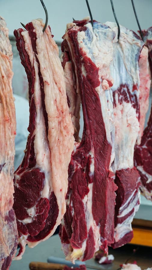 Beef Hanging in Butcher Shop Stock Photo - Image of prime ...