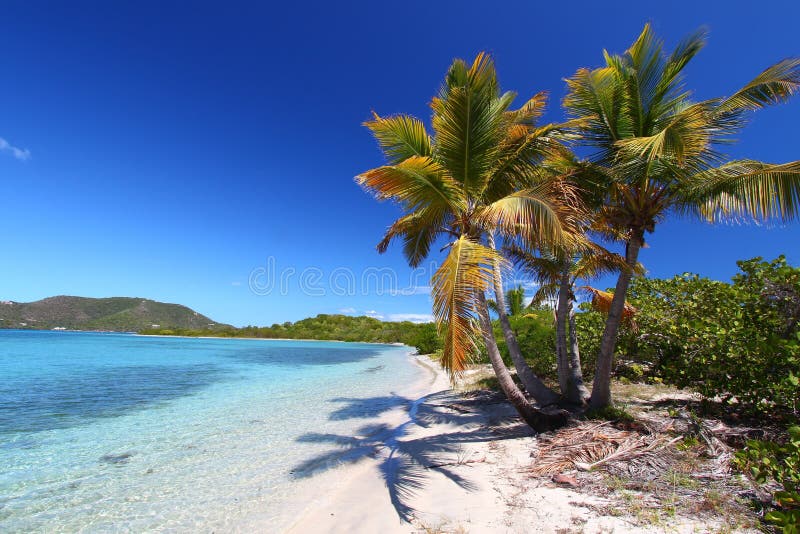 Beef Island Beach (BVI) stock image. Image of atlantic - 15069651