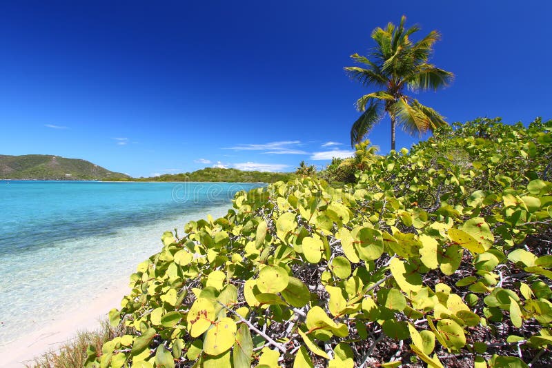 Beef Island - British Virgin Islands Stock Photo - Image of tranquil ...