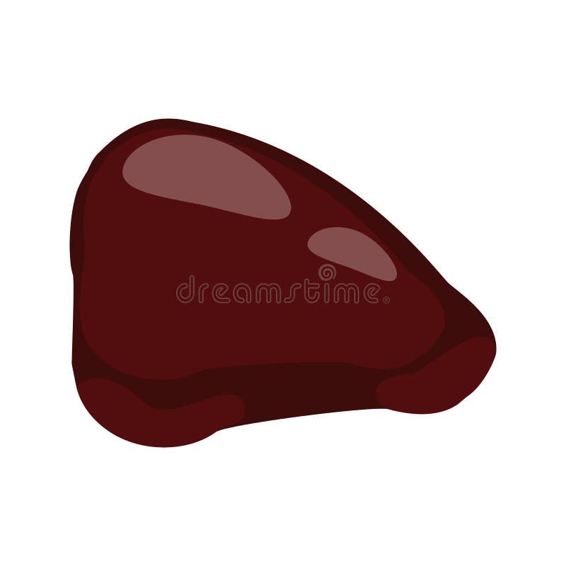 Beef Liver Stock Illustrations – 852 Beef Liver Stock Illustrations ...