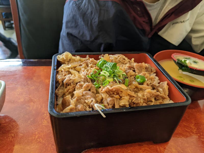 Beef Over Rice Japanese Lunch Yummy Stock Photo - Image of japanese ...