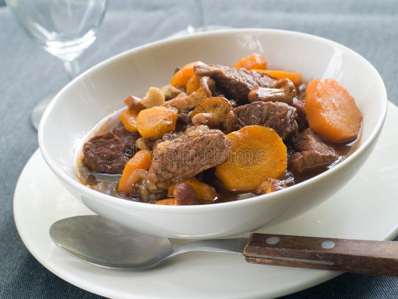 Beef ragout stock photo. Image of onion, dish, plate - 33305190