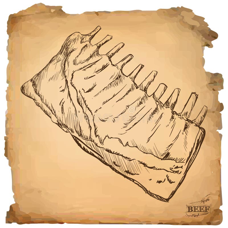 Beef Ribs Cut. Vector Illustration Decorative Design Stock Vector ...