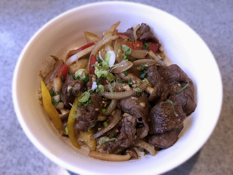 Beef with Rice - Japanese Food Stock Photo - Image of diet, dish: 101014186