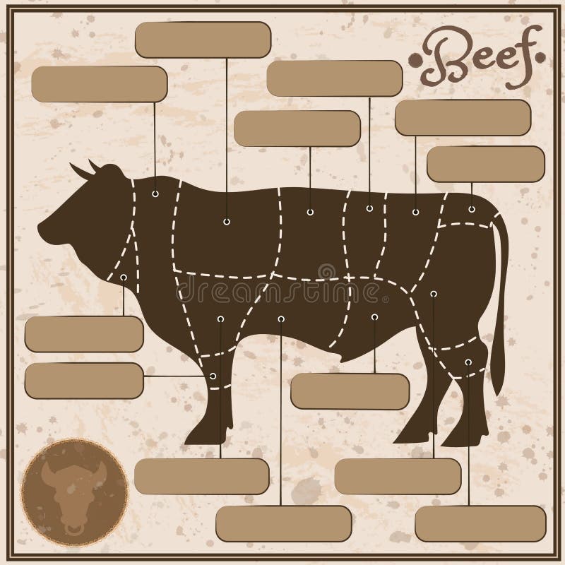 Cow, Beef. Scheme, Diagram, Chart Pork, Butcher Guide Stock ...