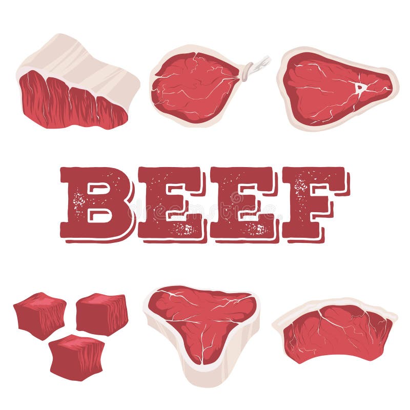 Beef Set.Hand Drawn Beef Cuts. Stock Vector - Illustration of natural ...