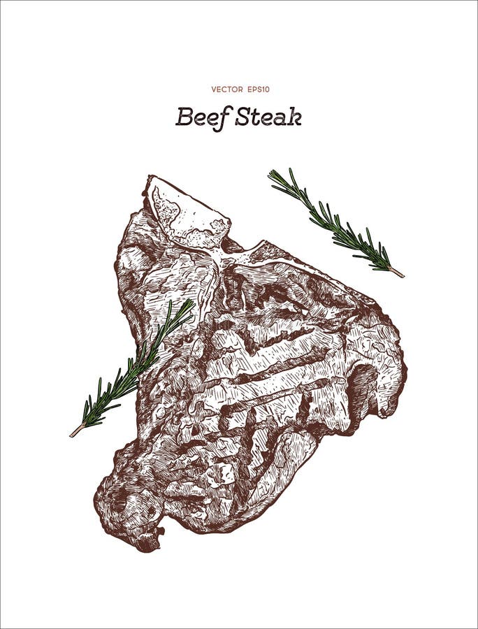 Beef Steak, Hand Draw Sketch Vector. Stock Vector - Illustration of ...