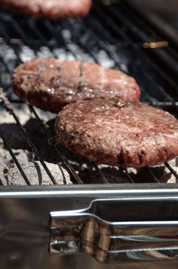 BBQ Two Beef Steak Kebab on Fire on Picnic Stock Photo - Image of green ...
