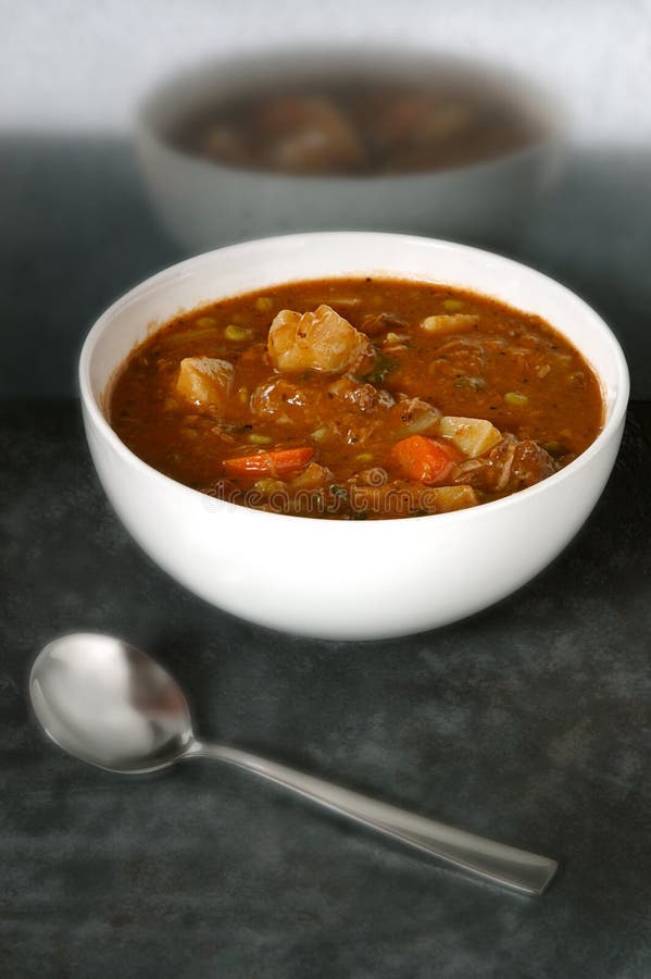 Beef stew stock photo. Image of protein, spoon, meat, celery - 2077870