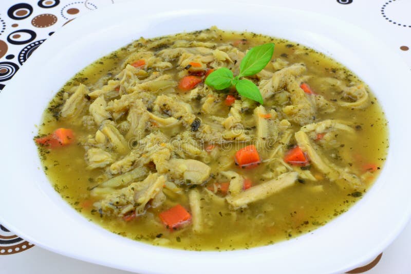 Beef tripe soup stock photo. Image of dish, food, tripe - 308043756