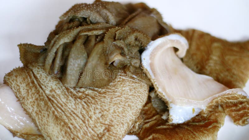 Reed Tripe Stock Photos - Free & Royalty-Free Stock Photos from Dreamstime