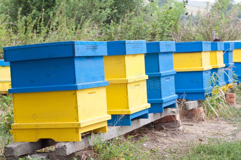 Beehive stock image. Image of hive, activity, color, beekeeping - 27200537