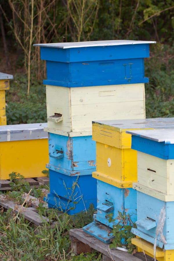 Beehive stock image. Image of bright, field, country - 29648967