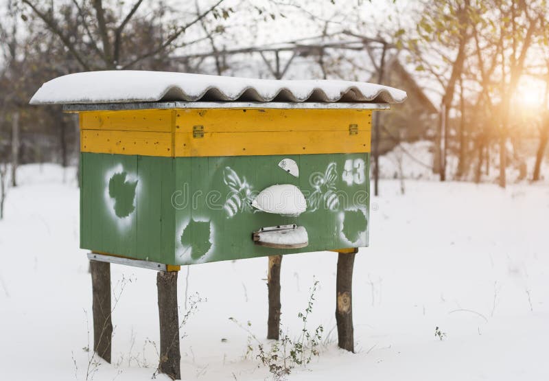 Winter On The Apiary. Beekeeper Winter Monitors The Status Of Bees In ...