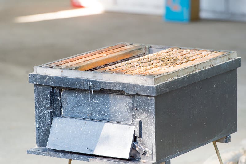 Beehive stock photo. Image of life, natural, meadow, building - 73540866