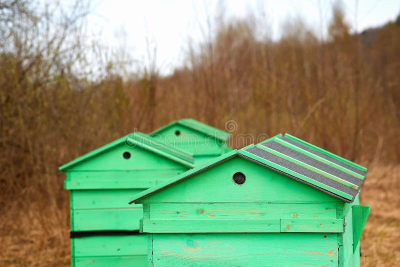 Beehive stock image. Image of building, wood, home, rural - 116994709