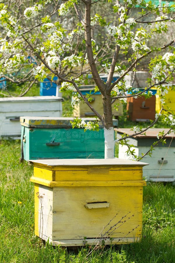 55,992 Beehive Stock Photos - Free & Royalty-Free Stock Photos from ...