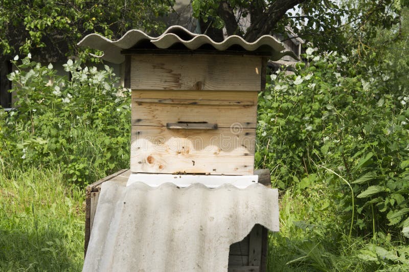 Beehive and the bees stock photo. Image of bees, beehive - 105101686