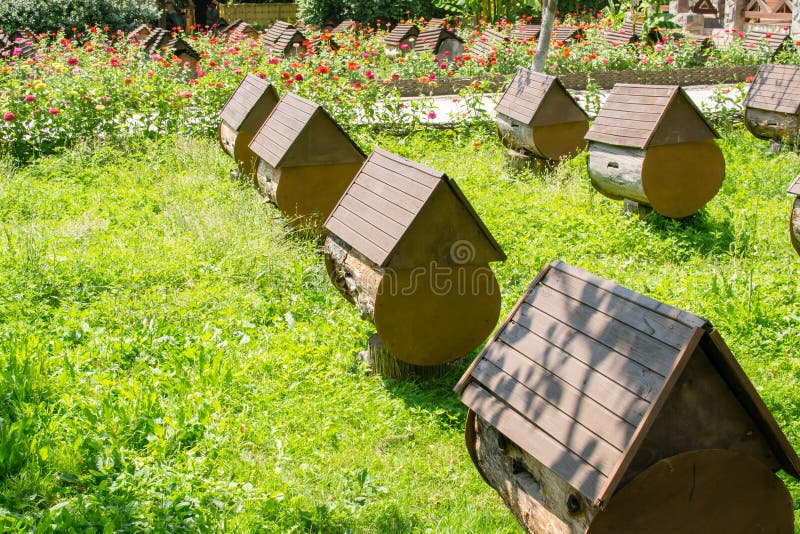 Beehive for bees stock photo. Image of beehive, grass - 77446530